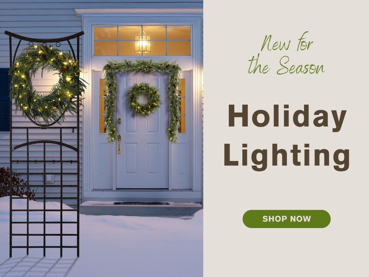 Holiday Lighting