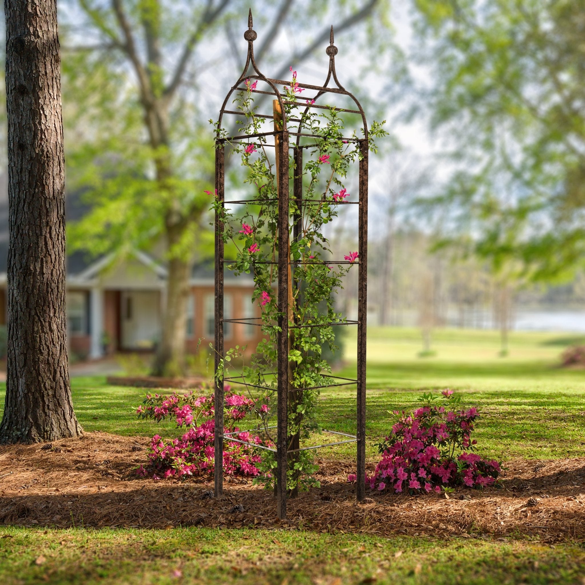 Garden Obelisk & Obelisk Trellis | Heavy-Duty Iron | H Potter