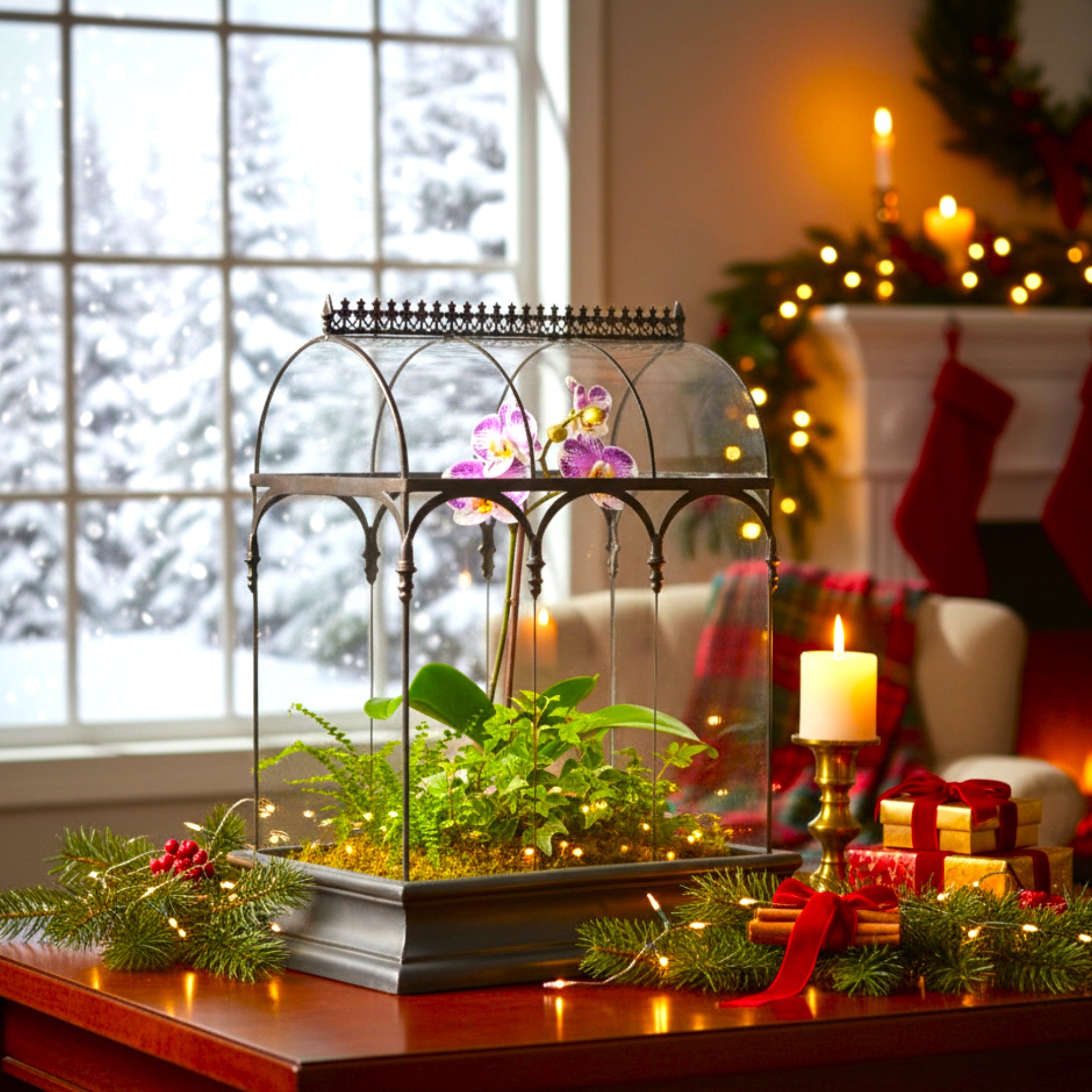 Terrarium: Handcrafted Glass Terrarium Sets & Plant Terrariums