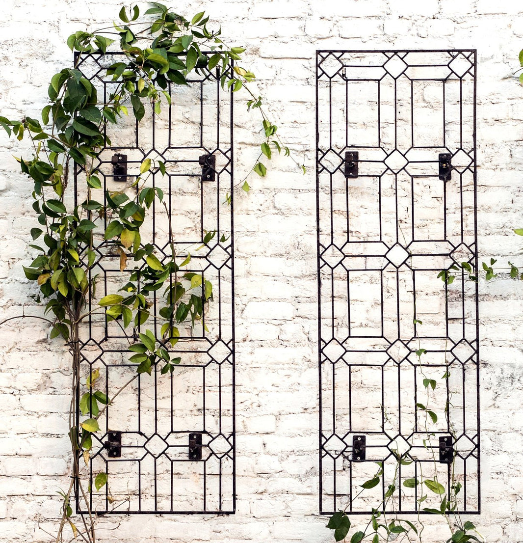 Wall Trellises | Decorative Metal Trellises for Indoor & Outdoor Walls