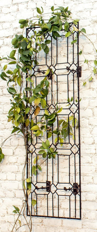 Diamond Metal Wall Trellis to hang on house - H Potter
