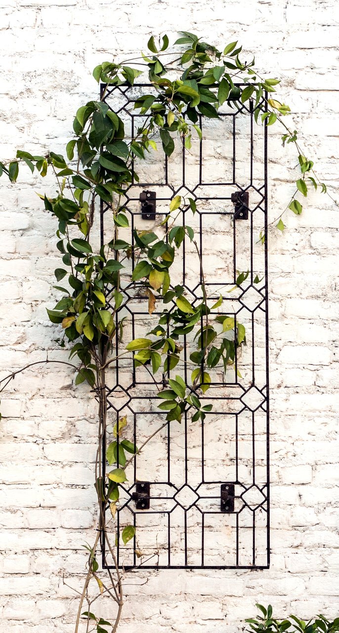 Diamond Metal Wall Trellis to hang on house - H Potter