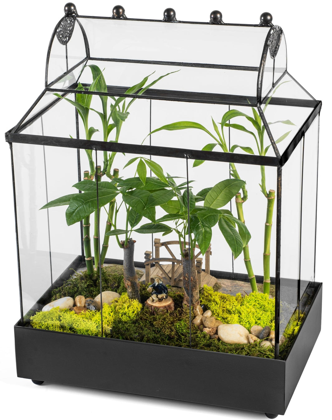 Terrariums - Handcrafted Glass Plant Homes by H Potter