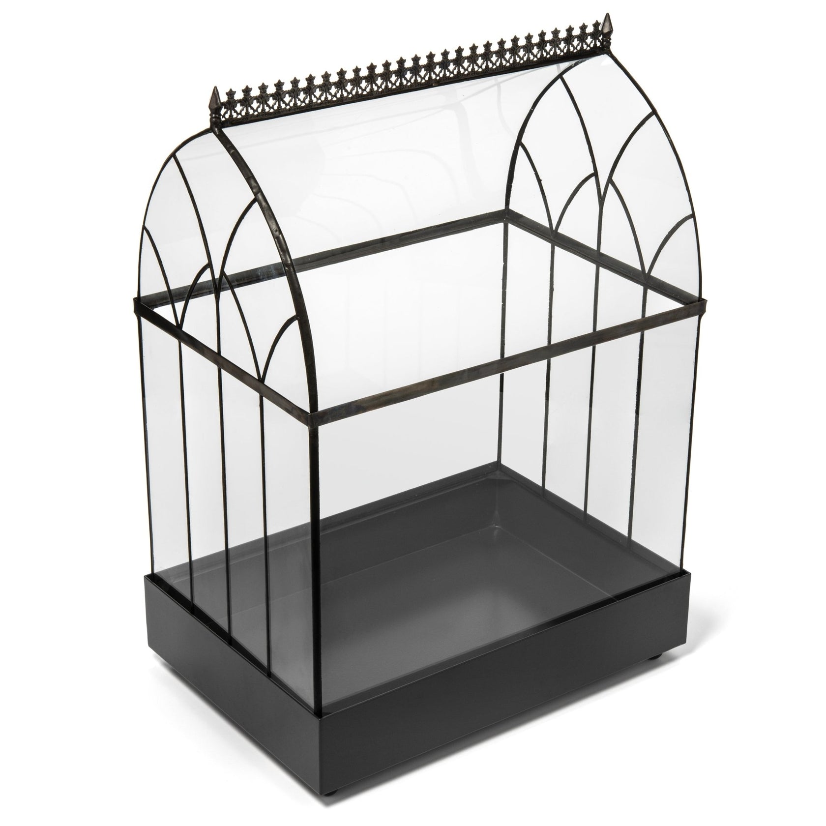 Curved Glass Terrarium Stylish Indoor Garden Planter Wardian – H Potter