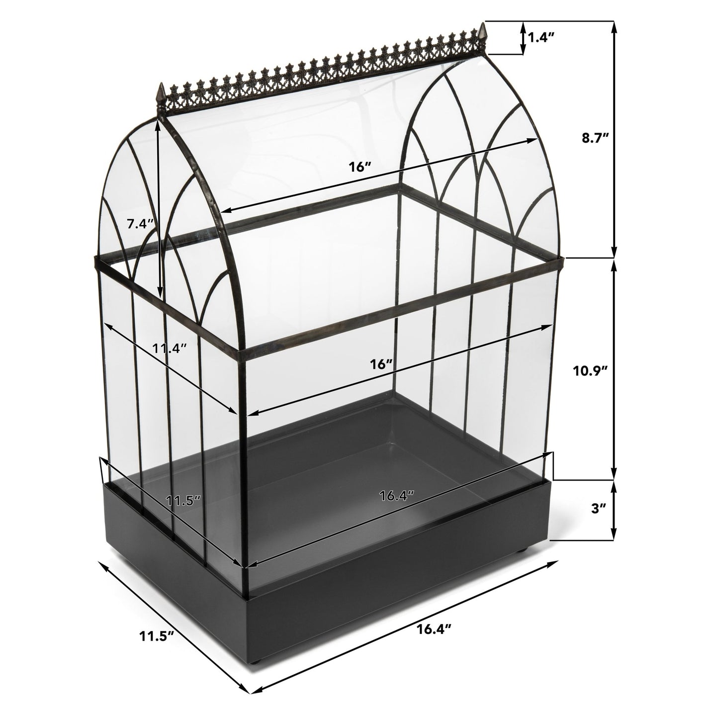 Curved Glass Terrarium Stylish Indoor Garden Planter Wardian – H Potter