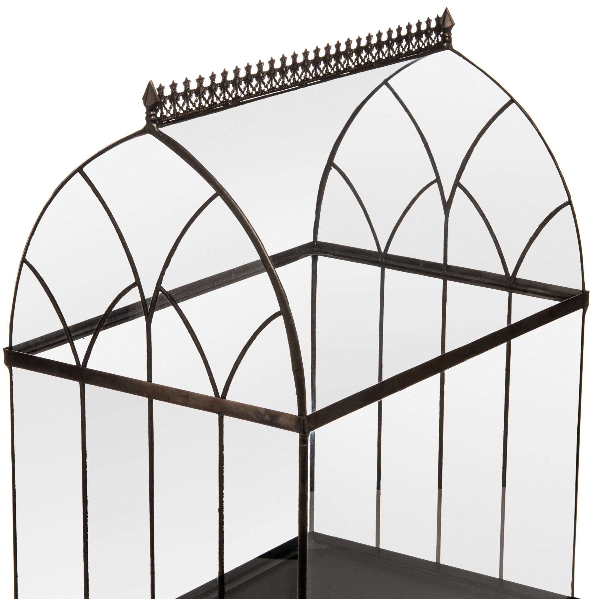 Curved Glass Terrarium Stylish Indoor Garden Planter Wardian – H Potter