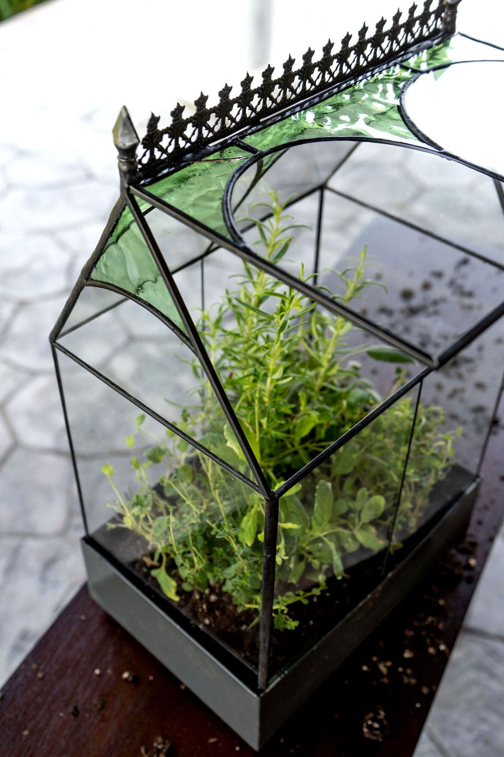 H Potter Terrarium with green glass Wardian Case WAR158